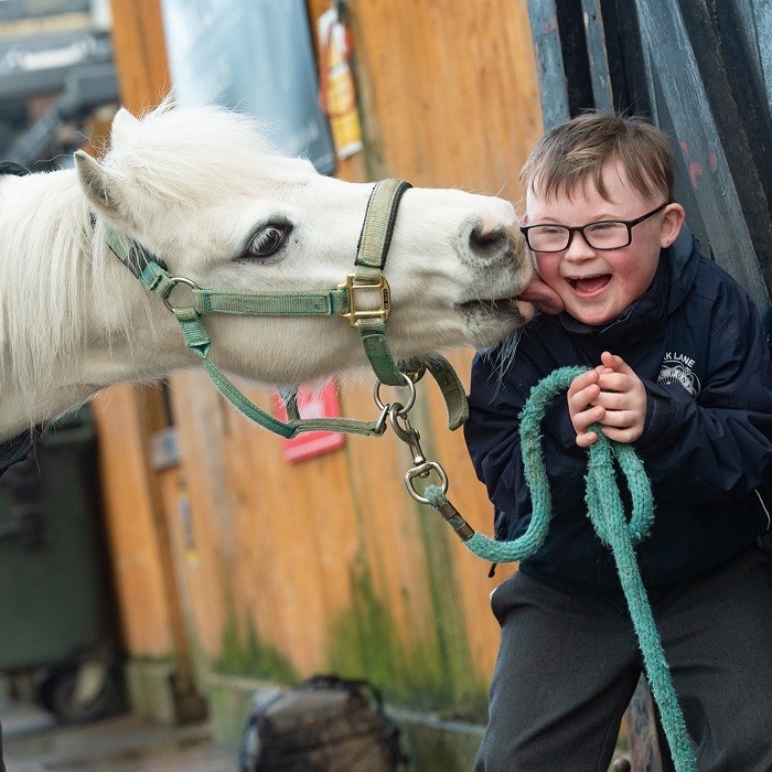 Chin Licking Good | Provincial Grand Lodge of Middlesex